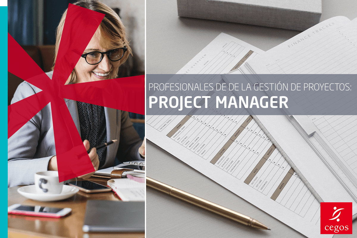 Profesionales de la gestión de proyectos actuales: Project Manager