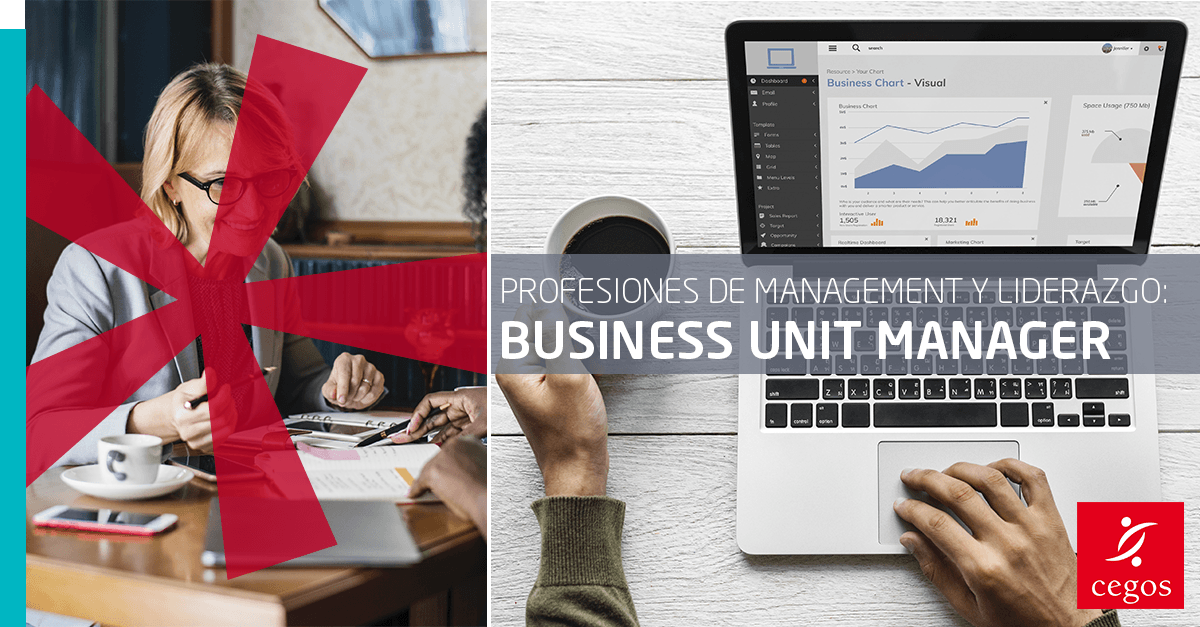 Profesiones de management y liderazgo: Business Unit Manager